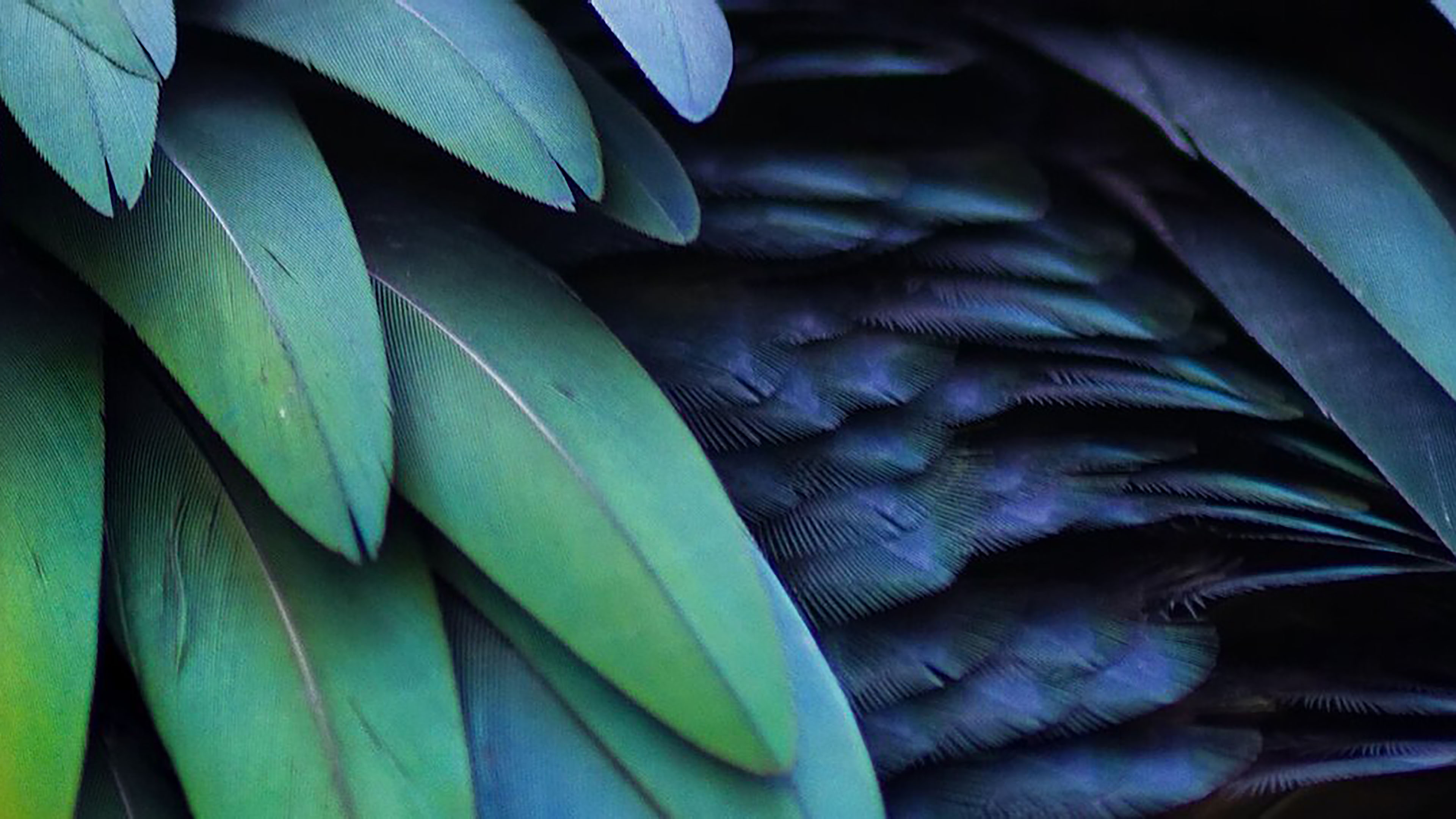 Conférence - Biomimétisme, comment la nature inspire les innovations ...